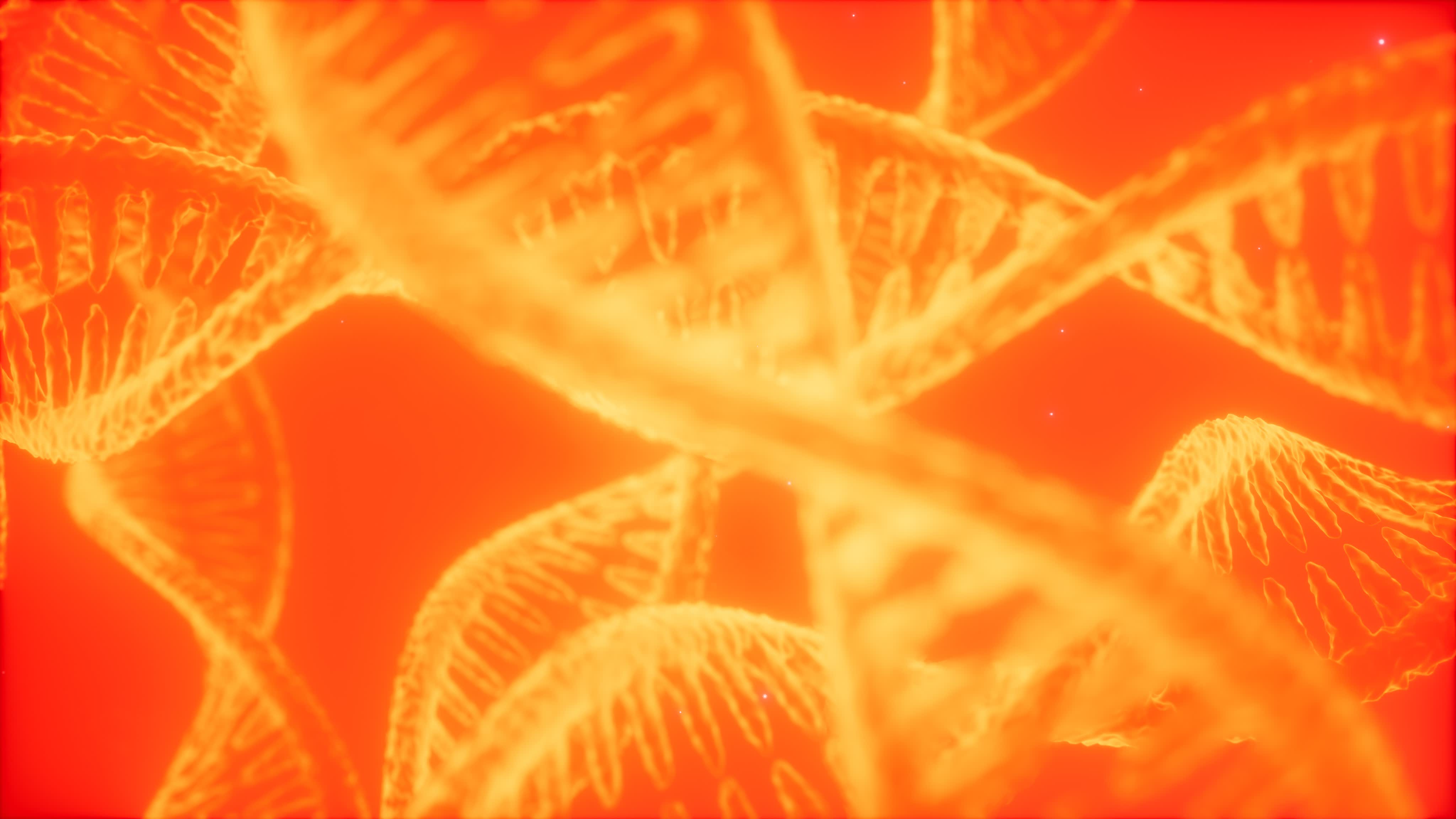 Structure Of The Dna Double Helix Animation 5612207 Stock Video At Vecteezy