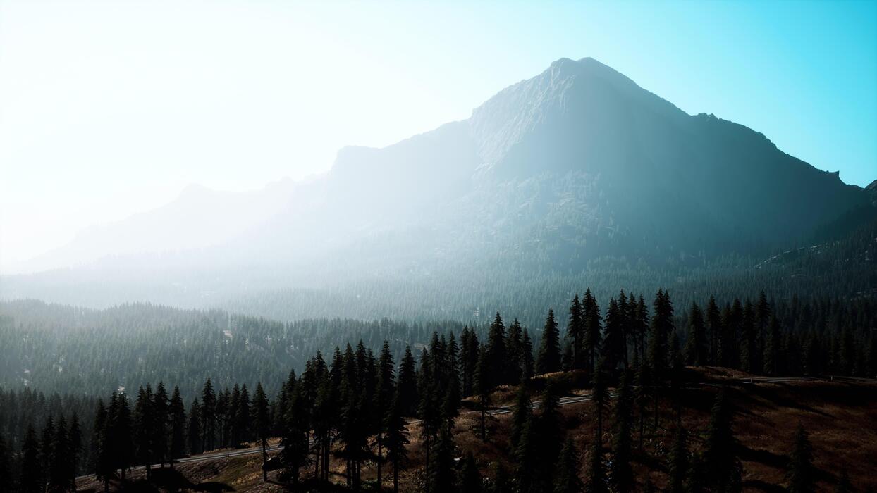 Mountain Trees Stock Photos, Images and Backgrounds for Free Download