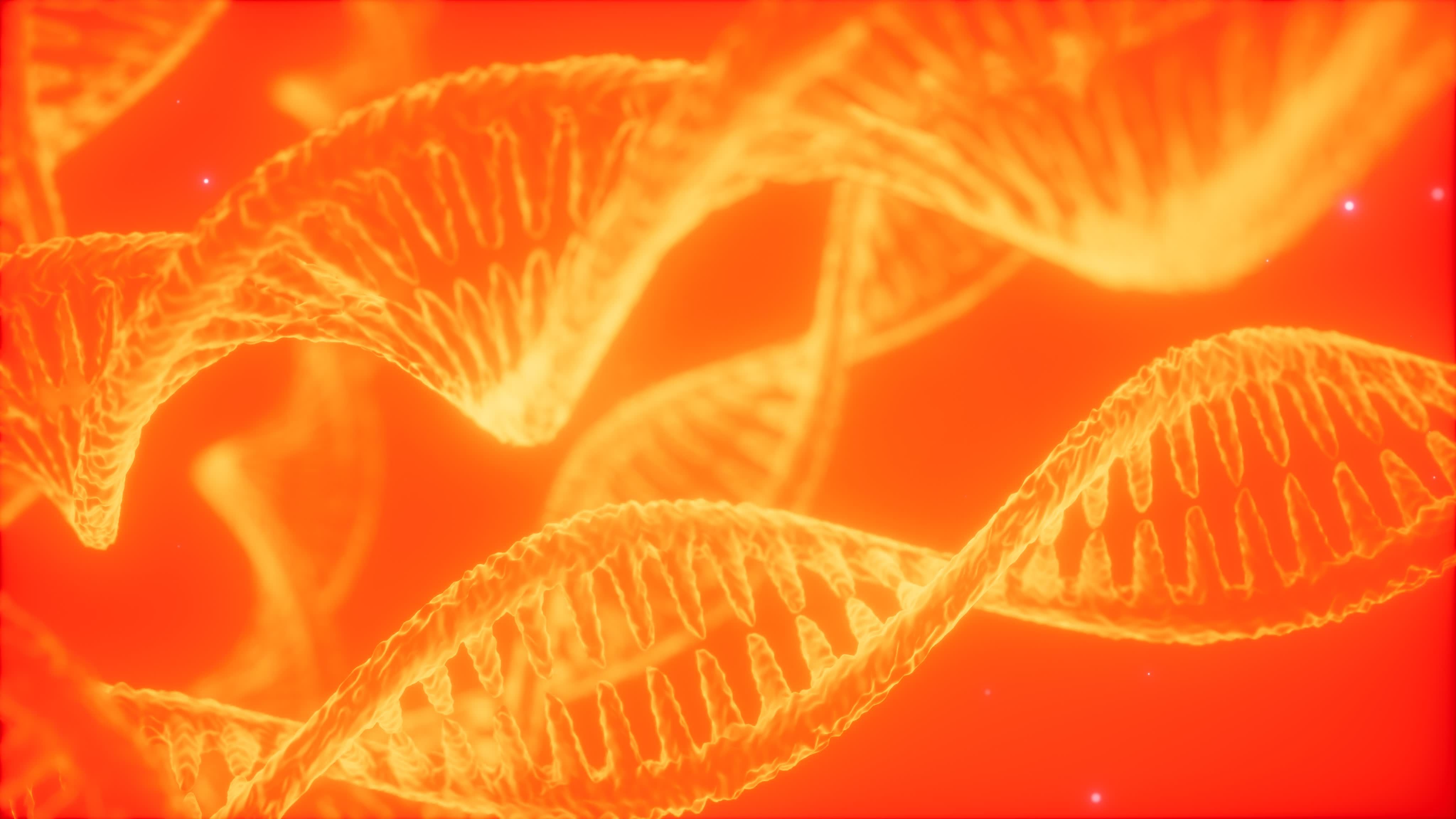 Structure Of The Dna Double Helix Animation 5684578 Stock Video At Vecteezy