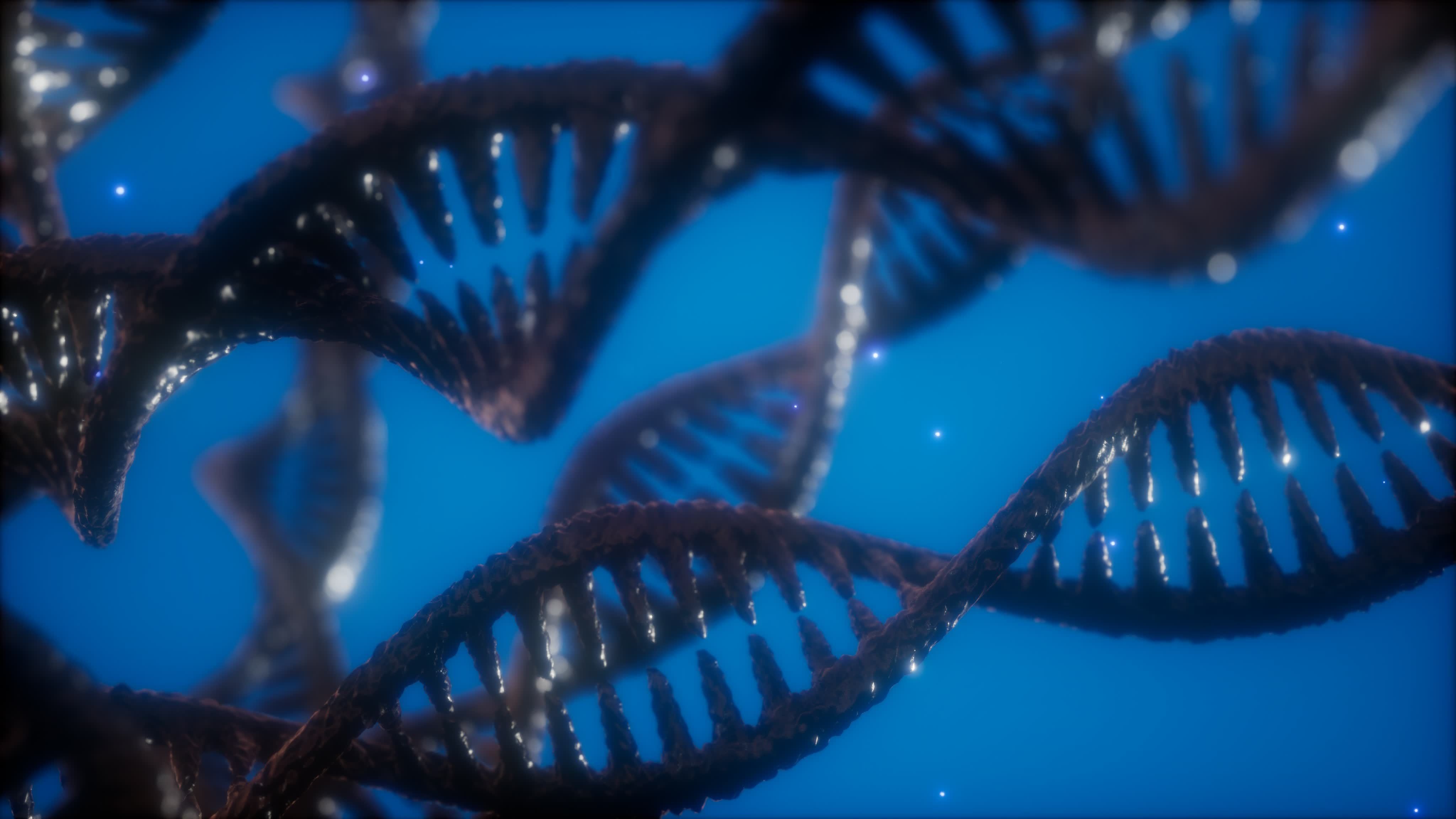 Structure Of The Dna Double Helix Animation 5686251 Stock Video At Vecteezy