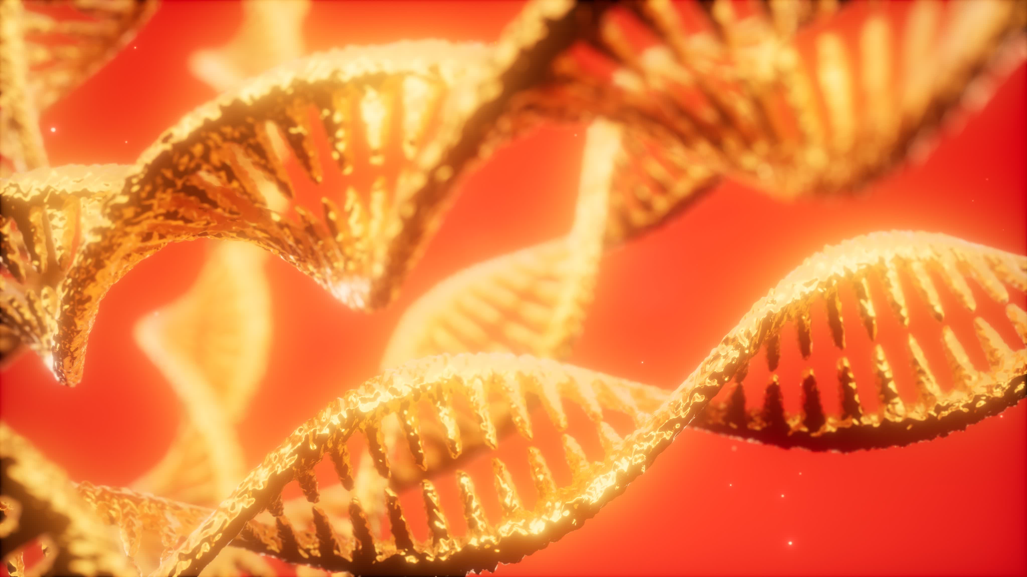 Structure Of The Dna Double Helix Animation 6136428 Stock Video At Vecteezy