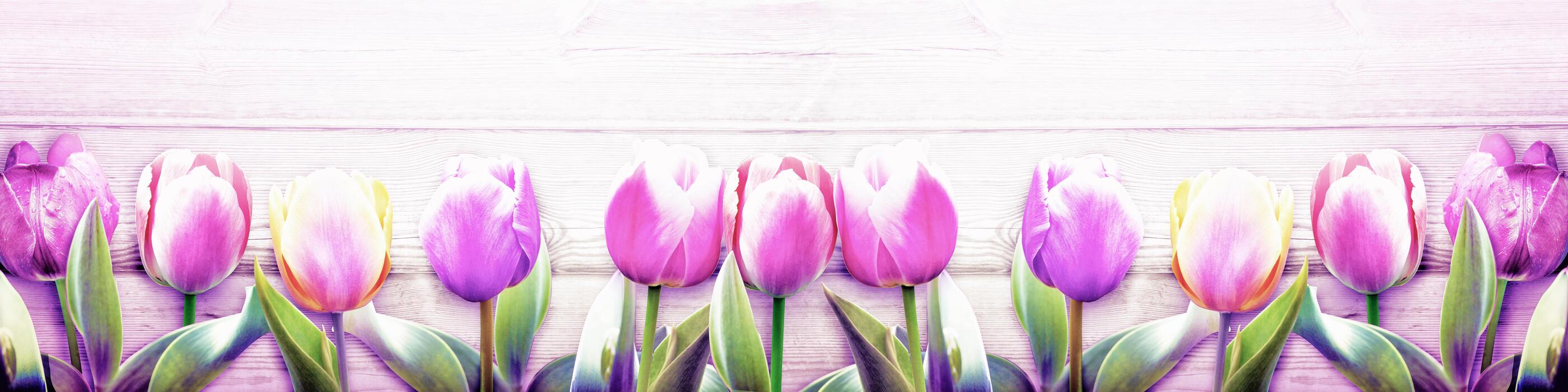 Spring Stock Photos, Images and Backgrounds for Free Download