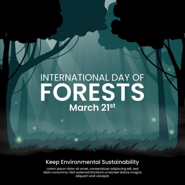 Forest Vector Art, Icons, and Graphics for Free Download