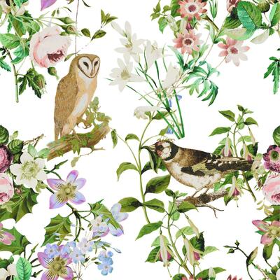 Spring Vector Art, Icons, and Graphics for Free Download