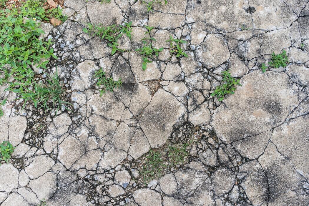 Broken Floor Stock Photos, Images and Backgrounds for Free Download