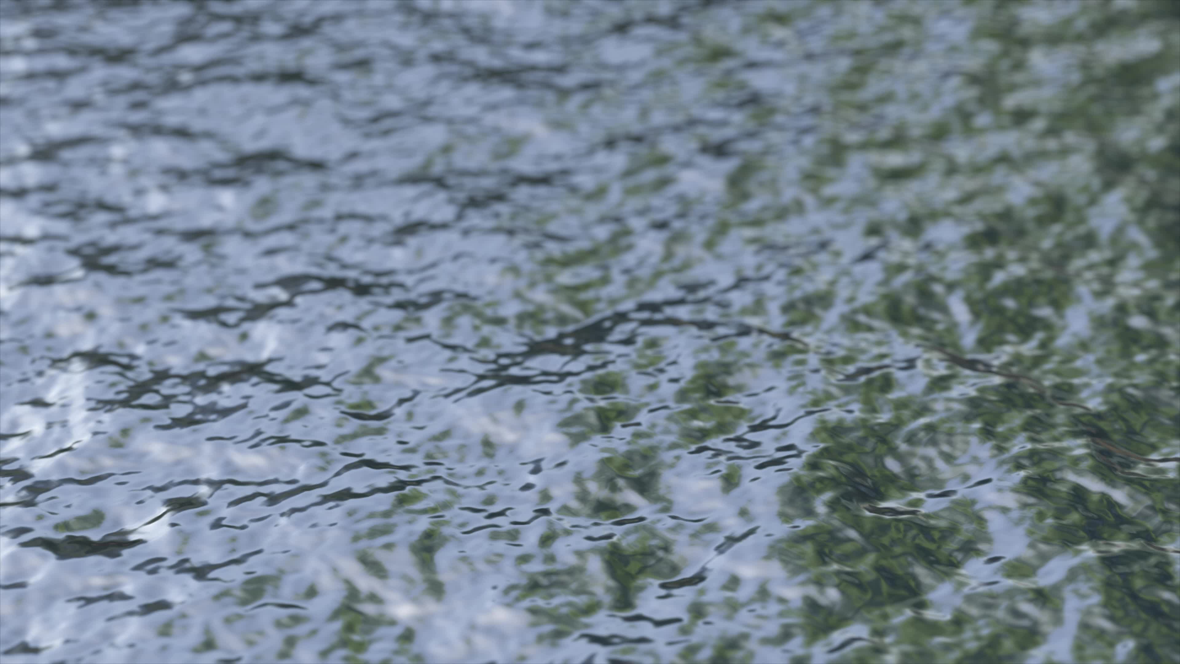 fast shallow water stream flow loop 6882430 Stock Video at Vecteezy