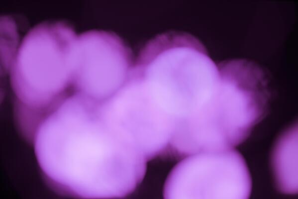 Purple Bokeh Background Stock Photos, Images and Backgrounds for Free ...