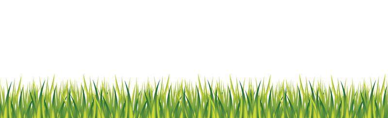 Grass Background Vector Art Icons And Graphics For Free Download