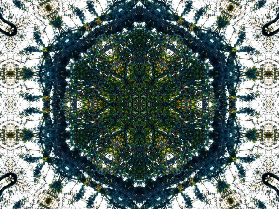 Complex Pattern Stock Photos, Images and Backgrounds for Free Download