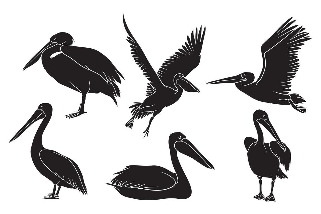 Silhouette Vector Art, Icons, and Graphics for Free Download