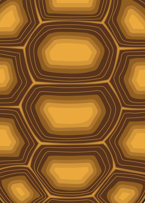 Tortoise Shell Texture