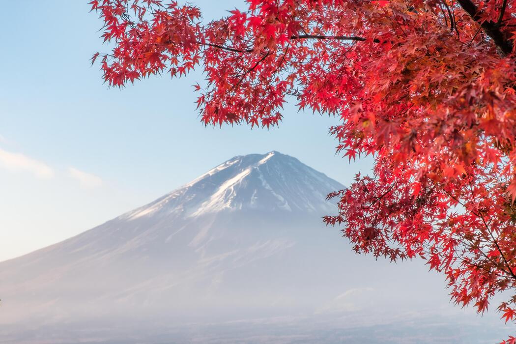 Mount Fuji Stock Photos, Images and Backgrounds for Free Download