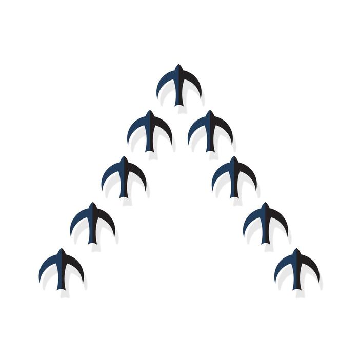 Flying Birds Vector Art, Icons, and Graphics for Free Download