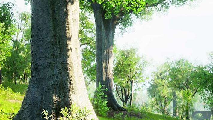 Tree Growth Animation Stock Video Footage for Free Download