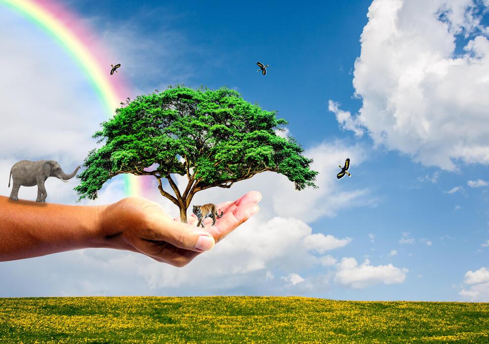 Save Environment Stock Photos, Images and Backgrounds for Free Download