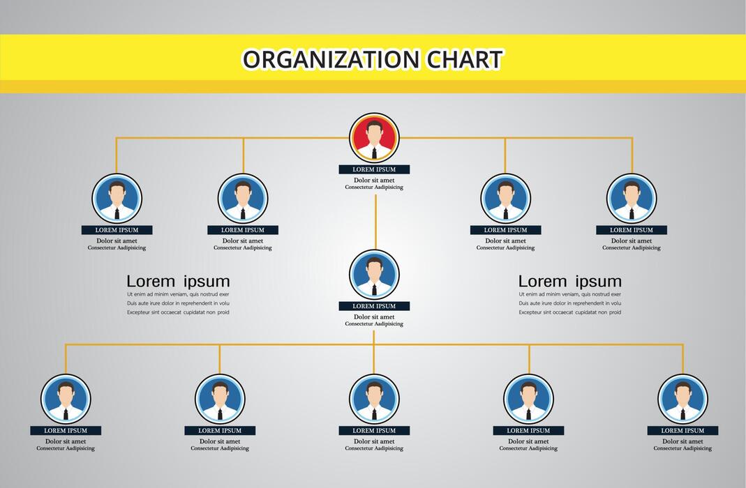 Organization Structure Vector Art, Icons, and Graphics for Free Download