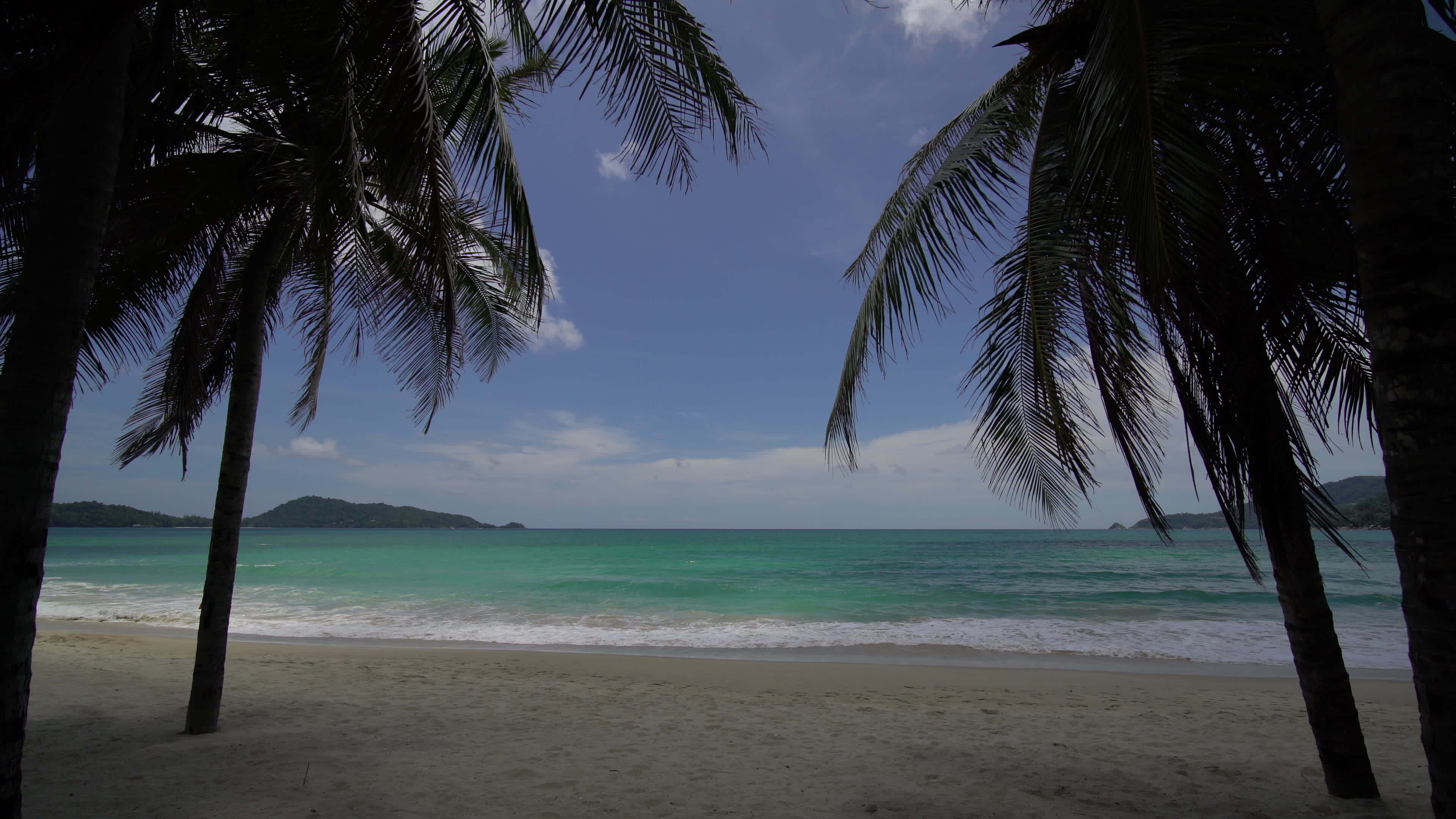 Beach space area with palm tree. Foamy waves with sky and clouds ...
