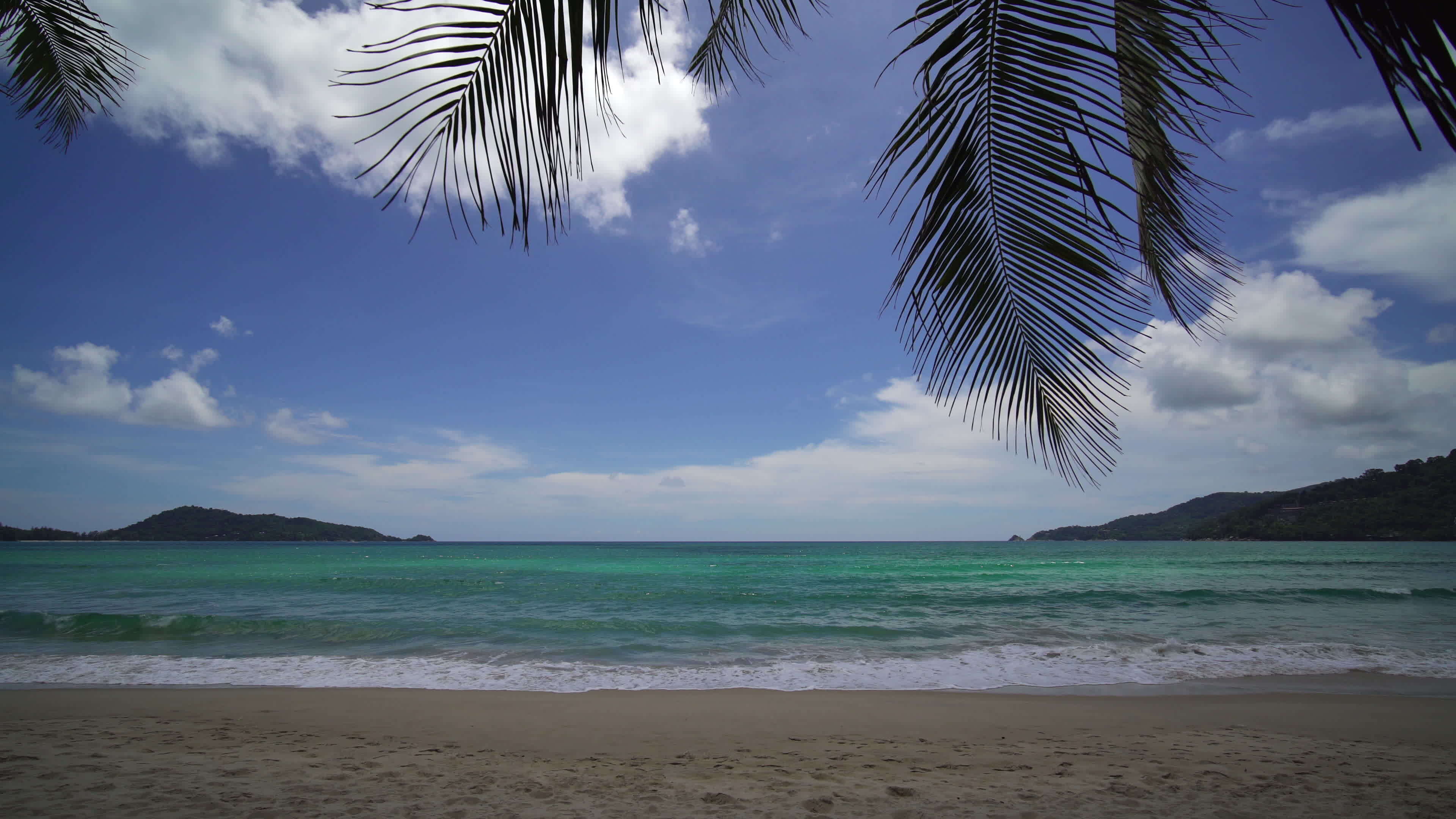 Beach space area with palm tree. Foamy waves with sky and clouds ...