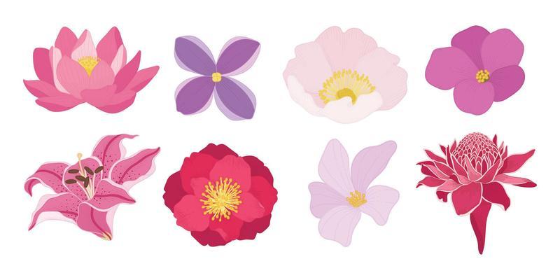 Pink And Purple Flowers Vector Art Icons And Graphics For Free Download