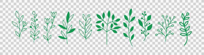 Tree Leaf Vector Art, Icons, and Graphics for Free Download