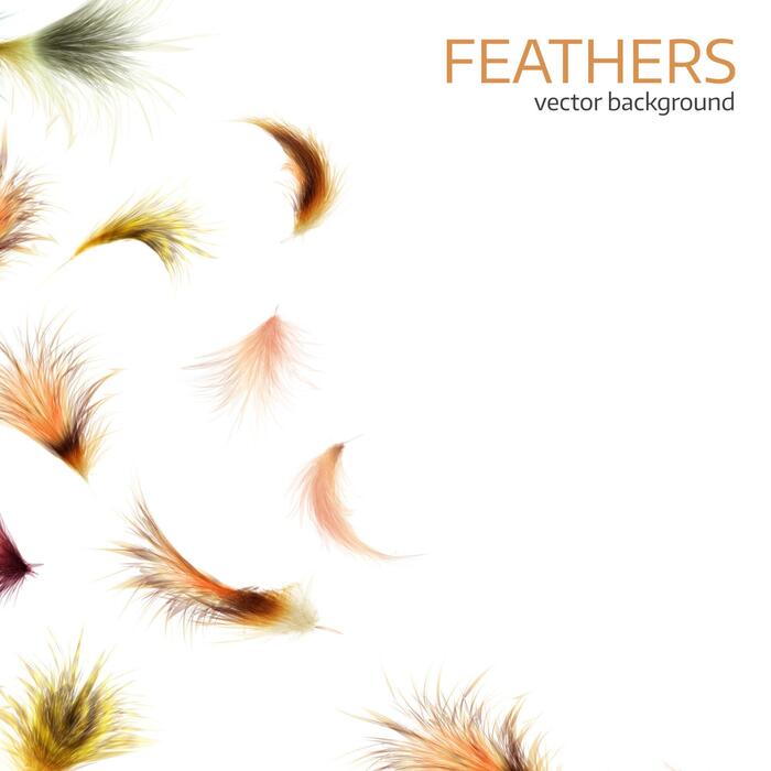 Feather Vector Art, Icons, and Graphics for Free Download