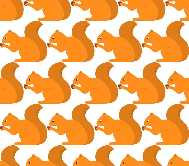 Squirrel With Nut Vector Art, Icons, and Graphics for Free Download