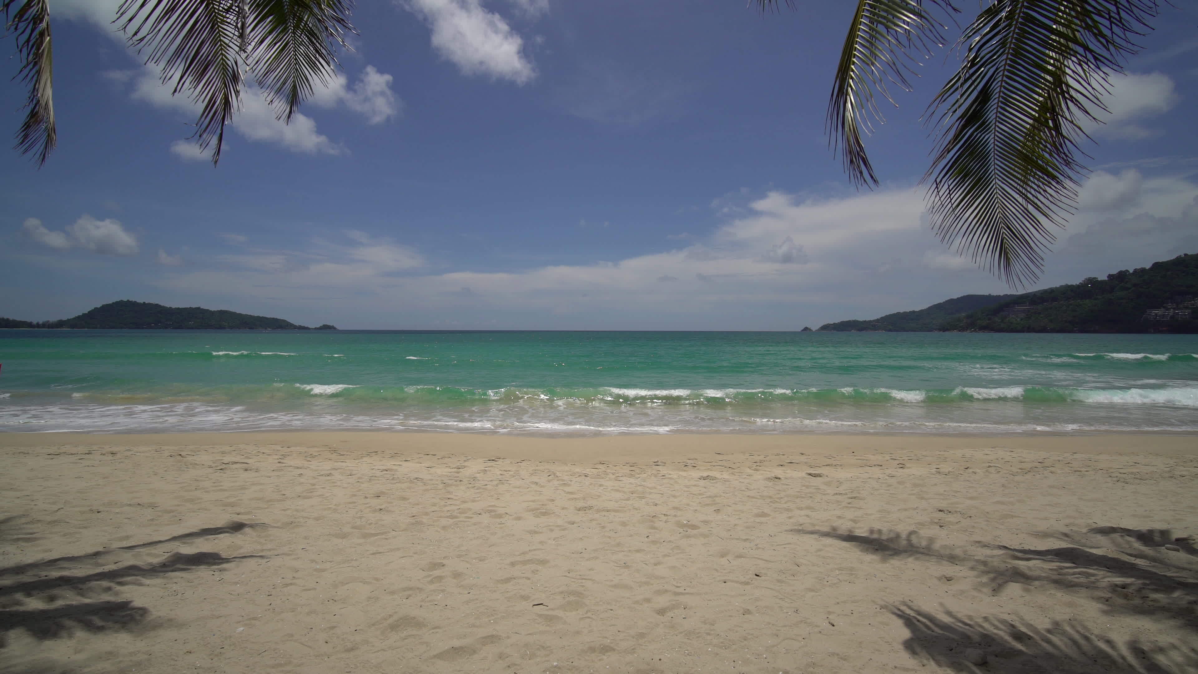 Beach space area with palm tree. Foamy waves with sky and clouds ...