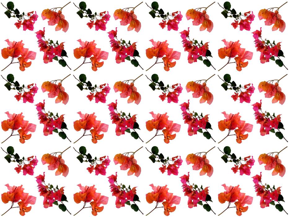 Pattern Stock Photos, Images and Backgrounds for Free Download