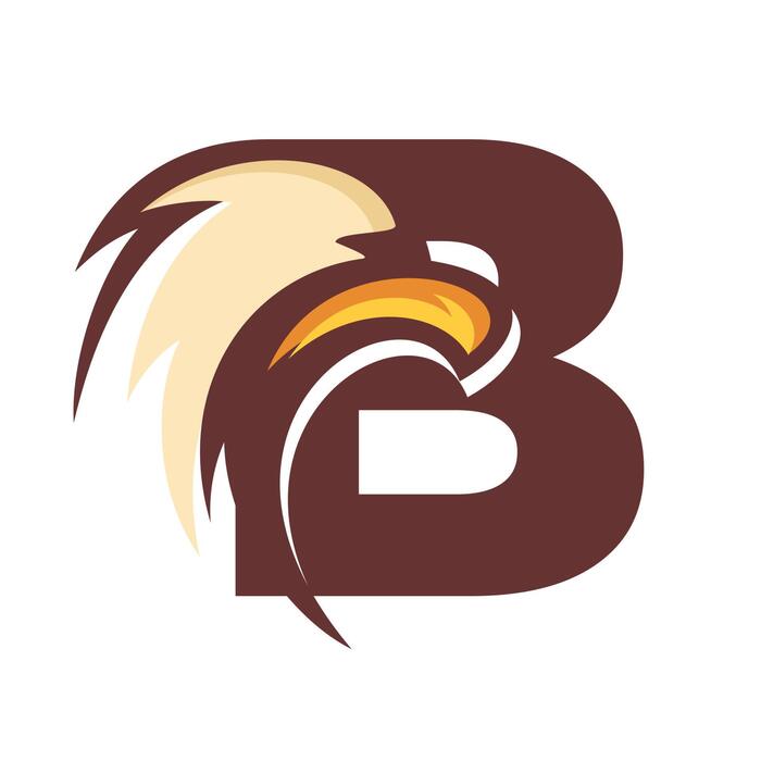 Phoenix Mascot Logo Vector Art, Icons, and Graphics for Free Download