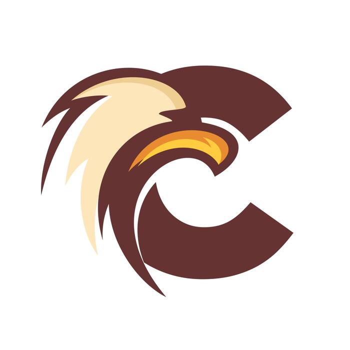 South Carolina Logo Vector Art, Icons, and Graphics for Free Download