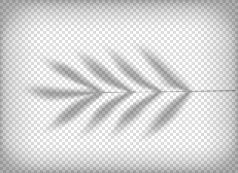 Transparent Vector Art, Icons, and Graphics for Free Download