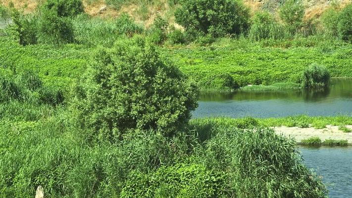 Colouring Book Stock Video Footage for Free Download