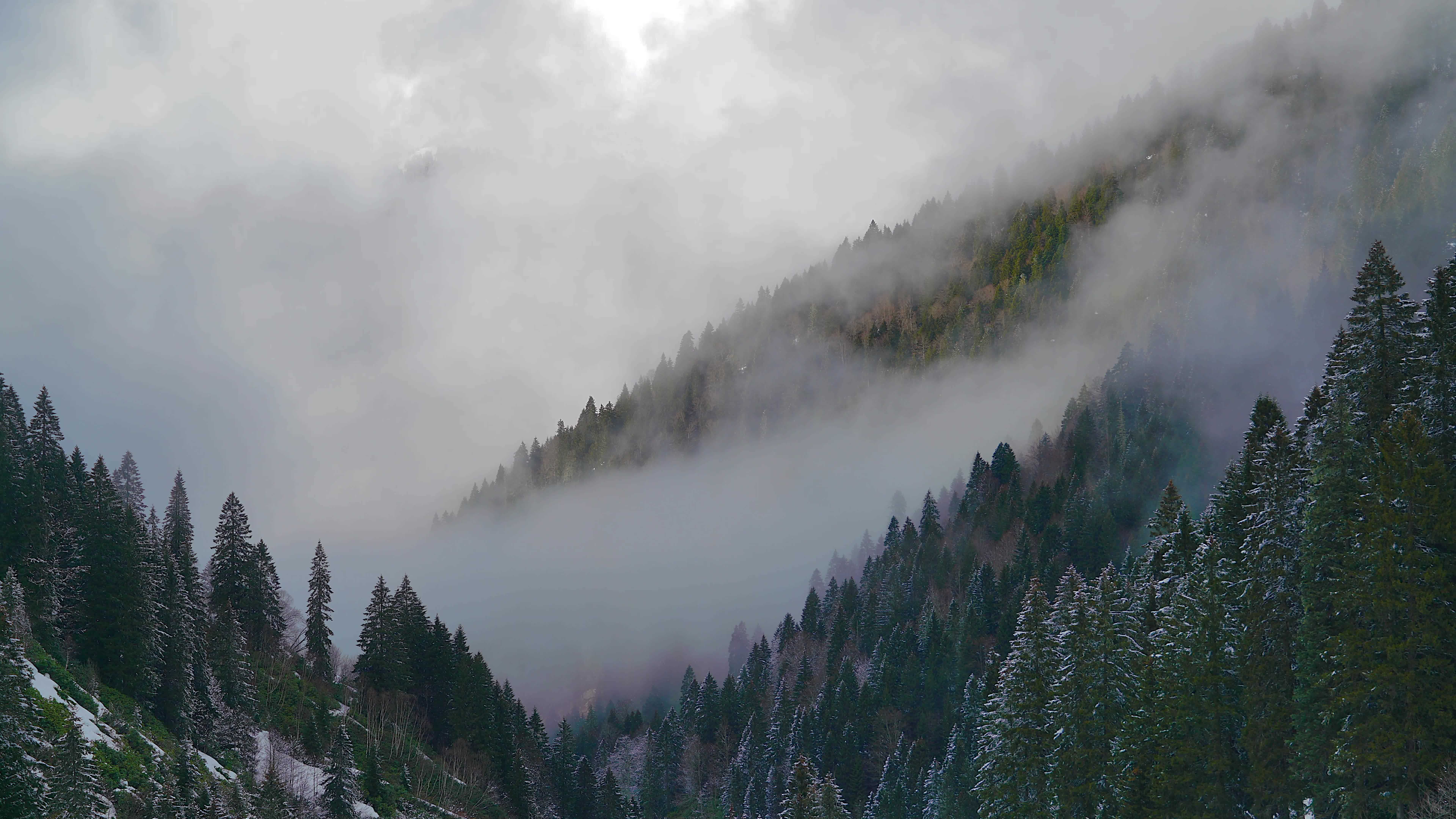 8K Large Waterfall Among Trees in Untouched Forest 8083294 Stock Video ...