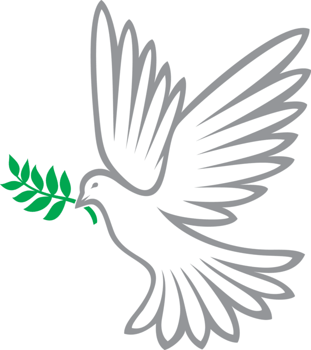 Pomba Da Paz Png Download HD Pomba Paz Piece @lucianoballack Dove Of