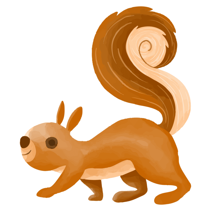 Squirrel Png PNGs for Free Download