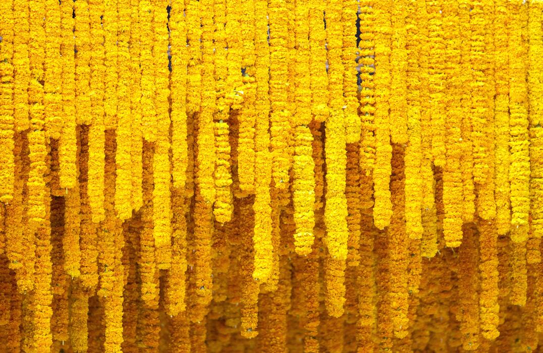 Haldi Decoration Stock Photos, Images and Backgrounds for Free Download