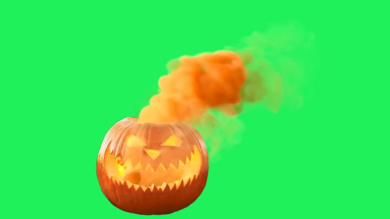 Pumpkin Green Screen Stock Video Footage for Free Download