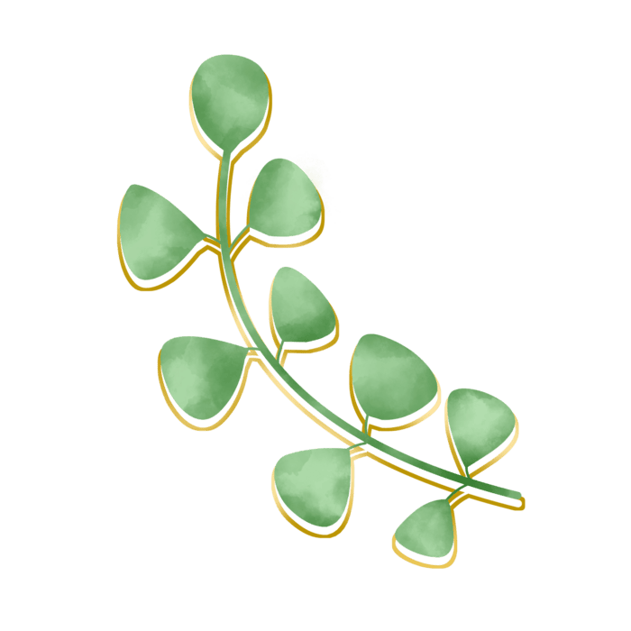 Eucalyptus Leaves Gold PNGs for Free Download