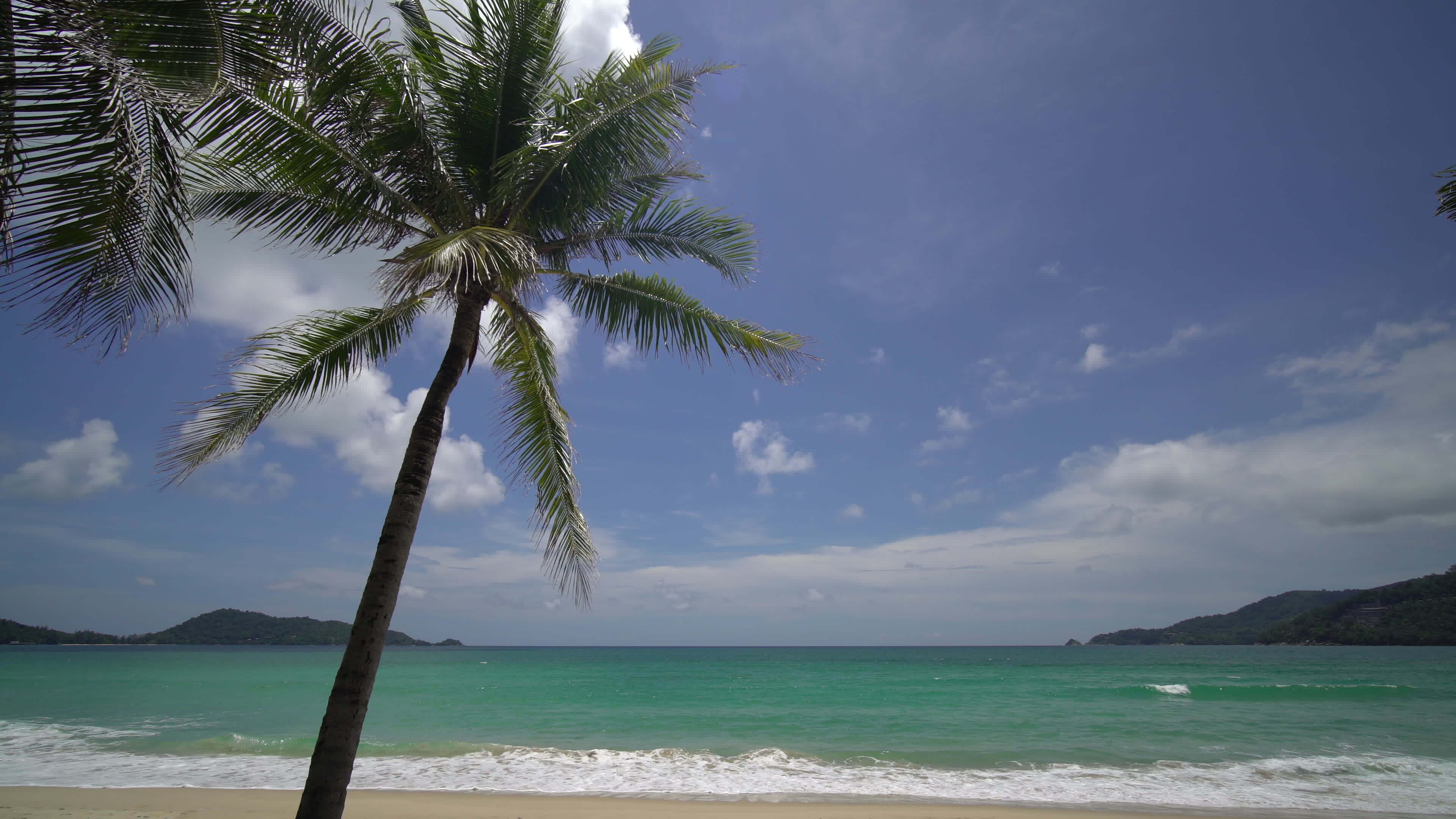 Beach space area with palm tree. Foamy waves with sky and clouds ...