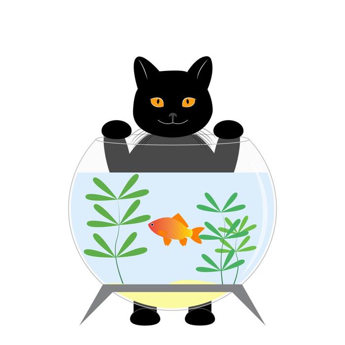 Aquarium Vector Art, Icons, and Graphics for Free Download