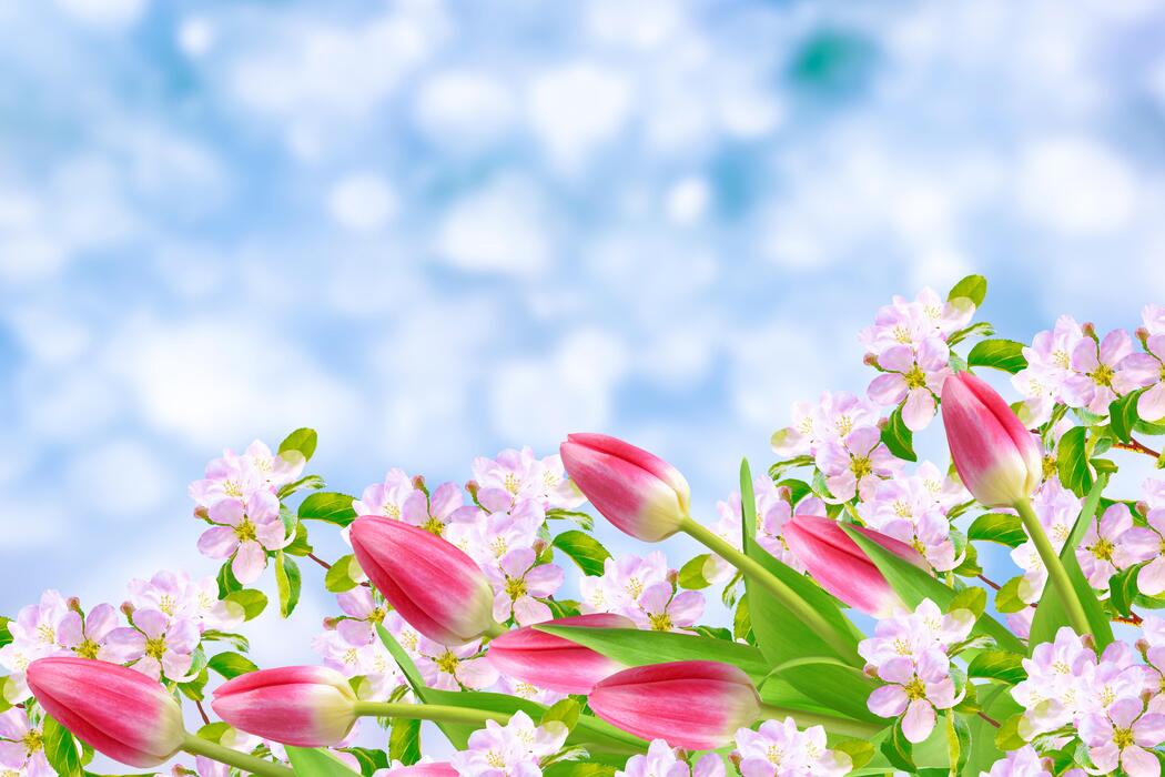 Realistic Spring Background Stock Photos, Images and Backgrounds for ...