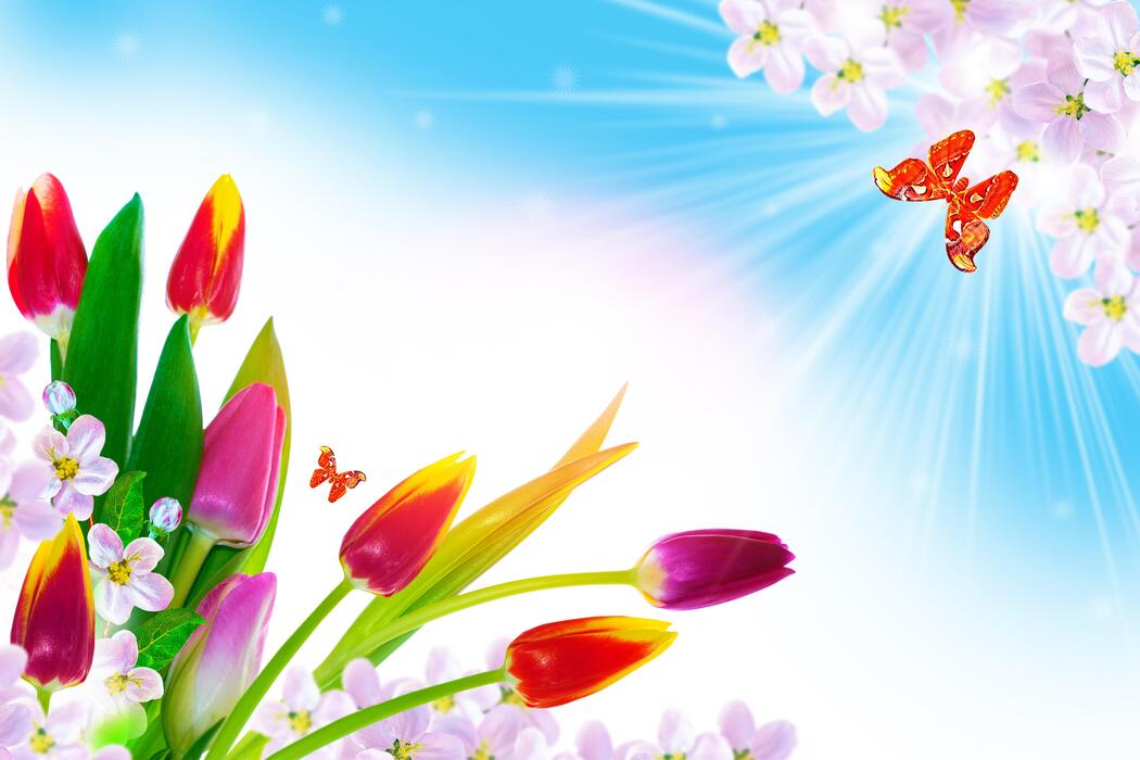 Spring Stock Photos, Images and Backgrounds for Free Download