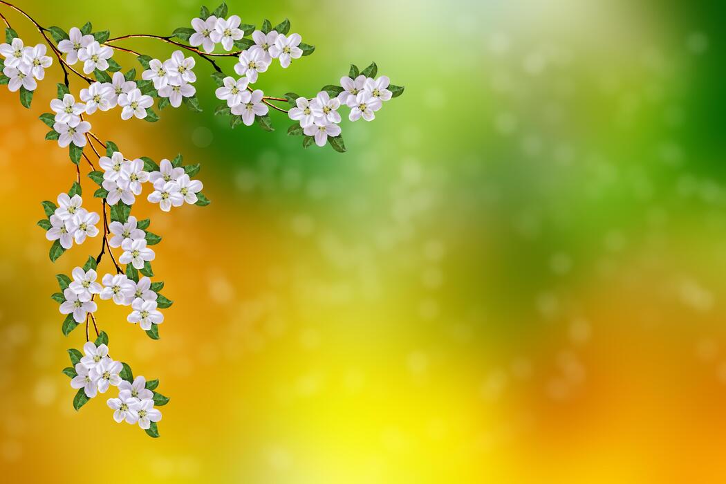 Spring Wallpaper Stock Photos, Images and Backgrounds for Free Download