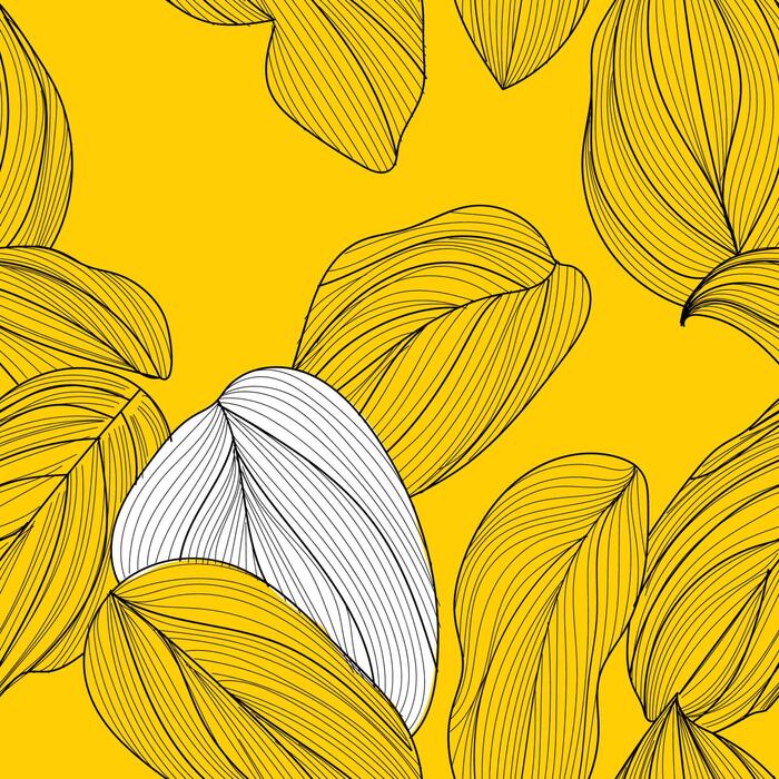 Two Color Background Vector Art, Icons, and Graphics for Free Download