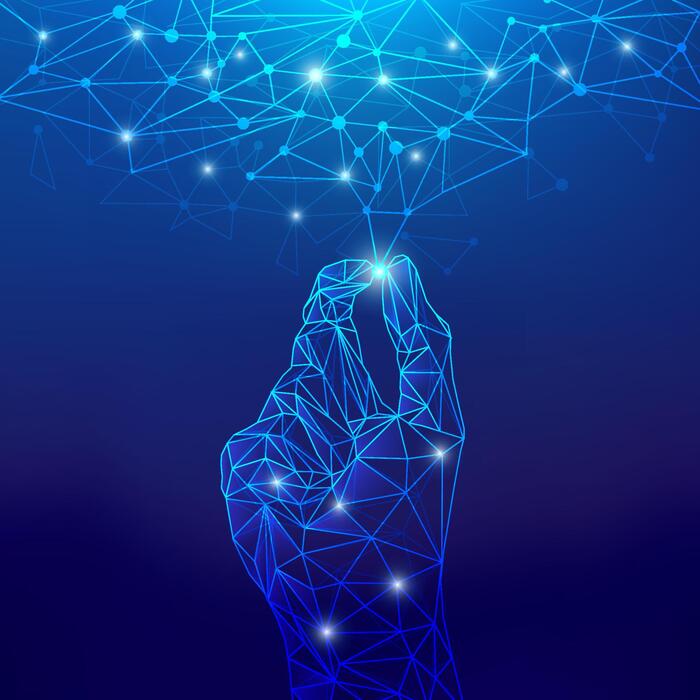 Wireframe Vector Art, Icons, and Graphics for Free Download