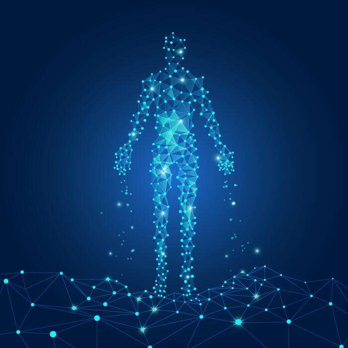 Abstract Human Body Vector Art, Icons, and Graphics for Free Download