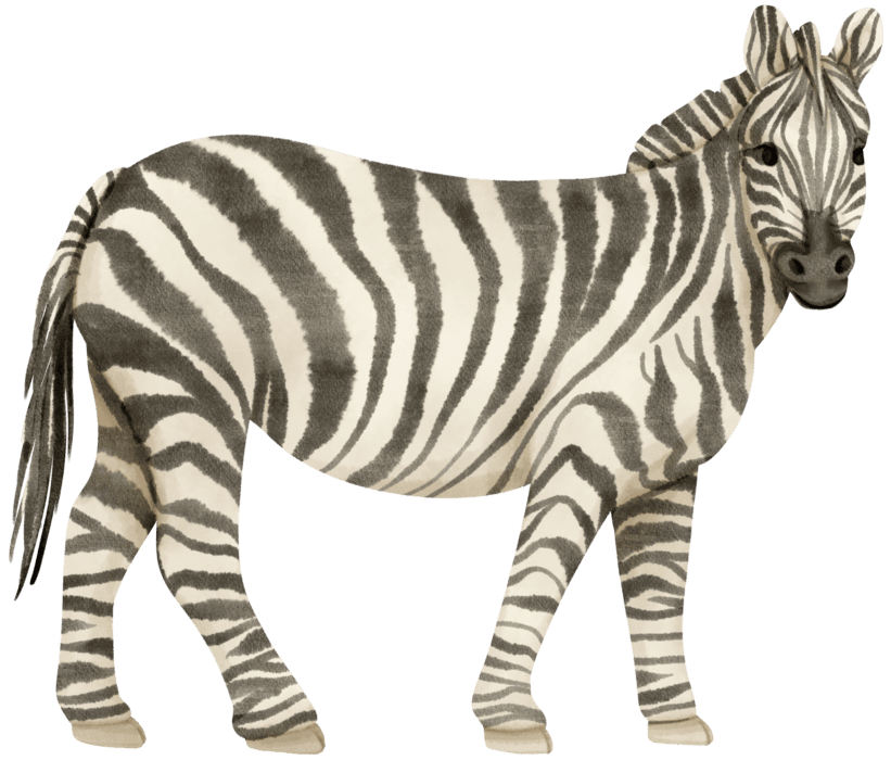 Safari Animals PNGs for Free Download