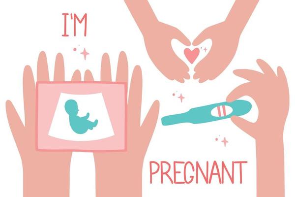 Pregnancy Test Vector Art Icons And Graphics For Free Download