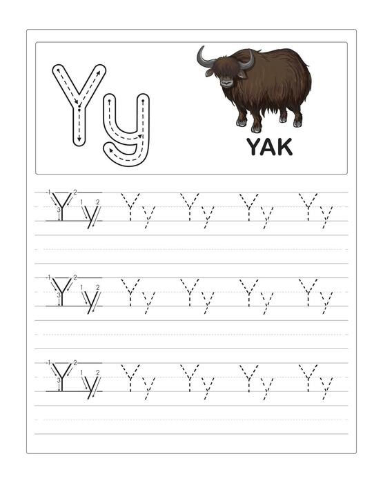 Letter Y Tracing Vector Art, Icons, and Graphics for Free Download