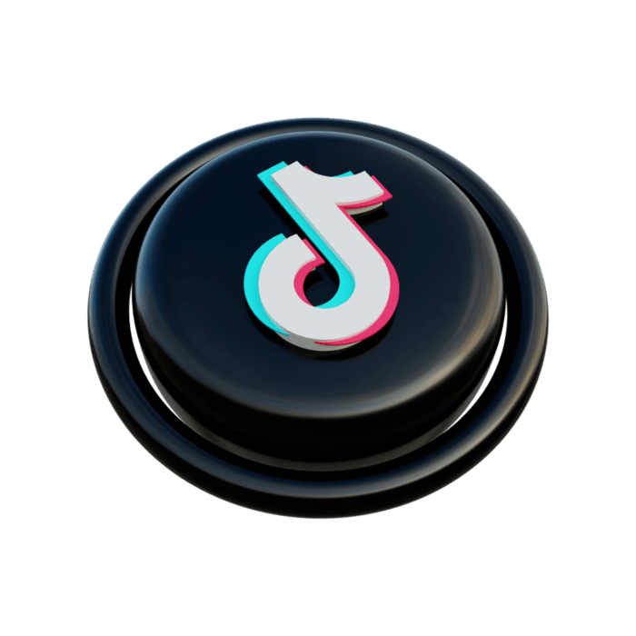 Tiktok Logo Icon Transparent PNGs for Free Download